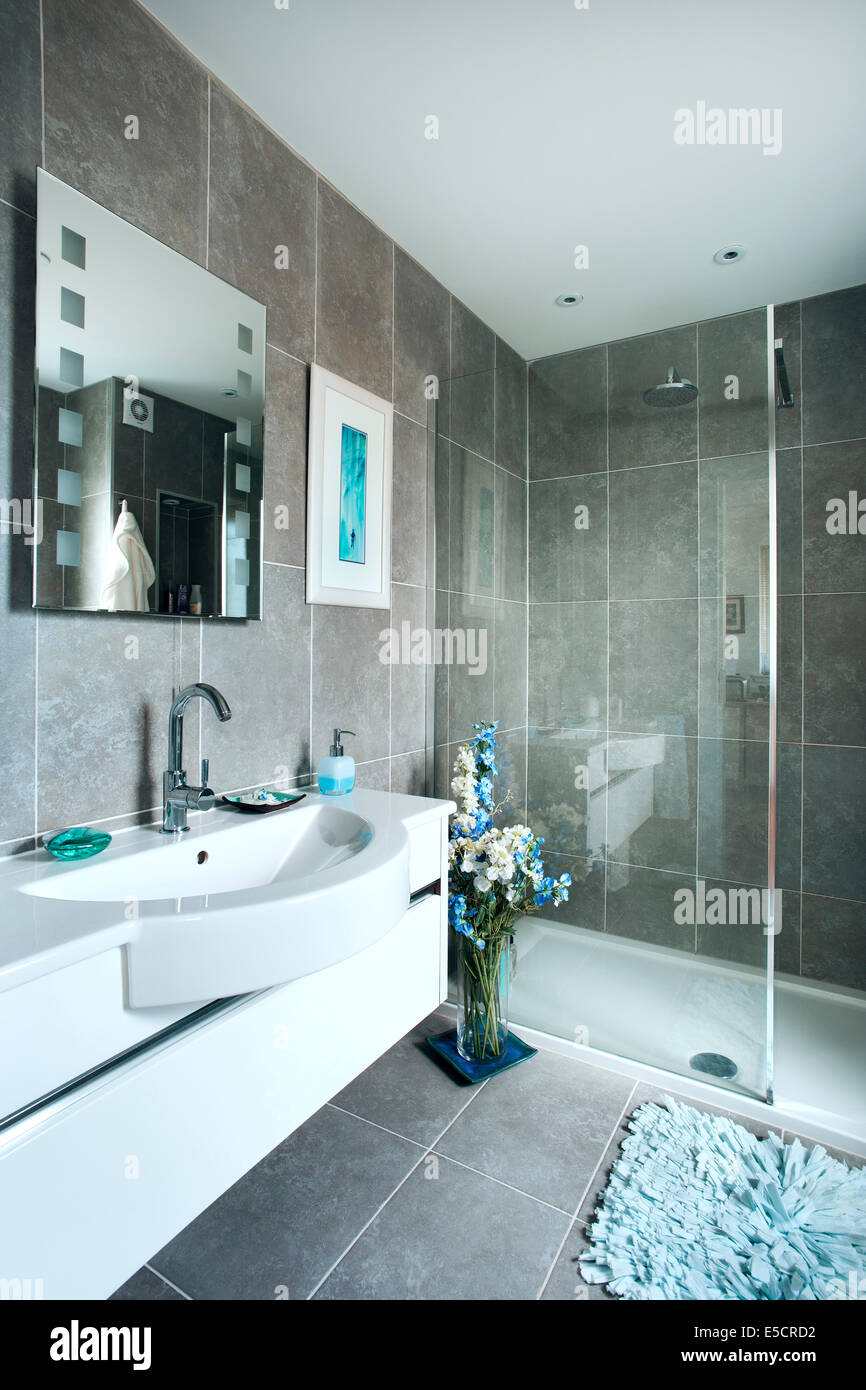 Ground floor shower room in UK home Stock Photo - Alamy
