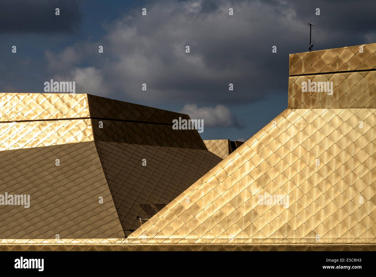 The Hive Library, Worcester, roof detail Stock Photo - Alamy