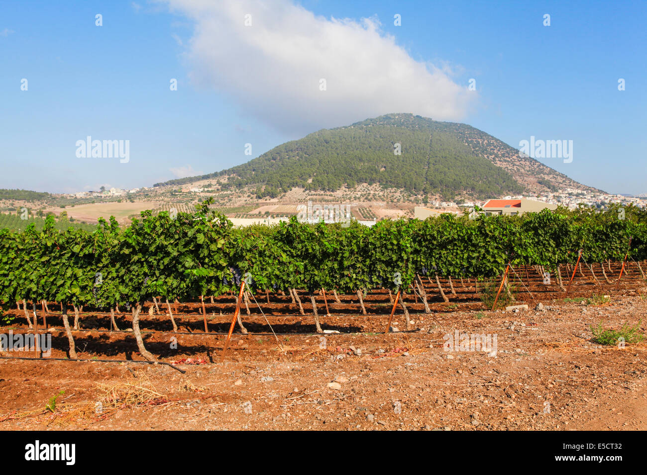 Mount Tabor is located in Lower Galilee, Israel, at the eastern end of ...