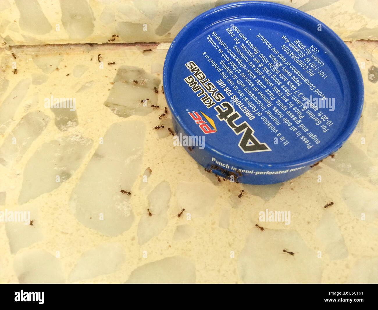 Pre baited ant trap lilling system Stock Photo - Alamy