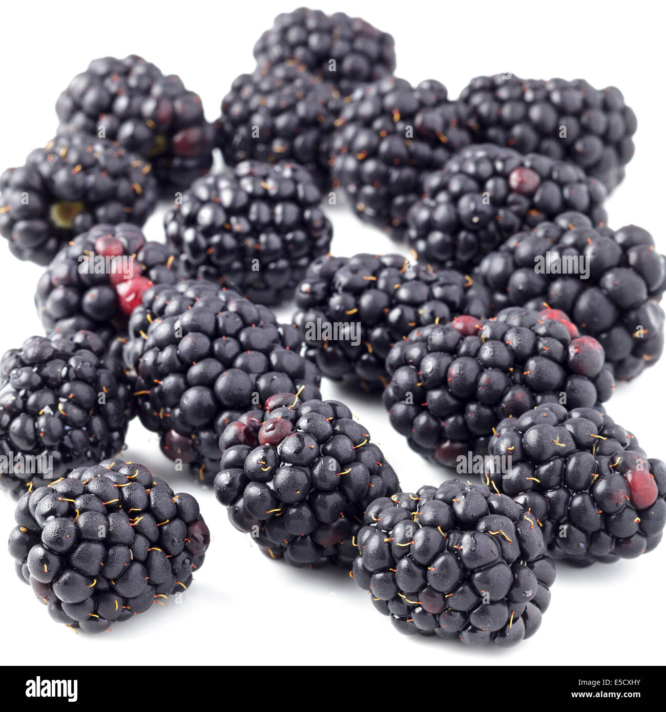 Black berry cut out hi-res stock photography and images - Alamy