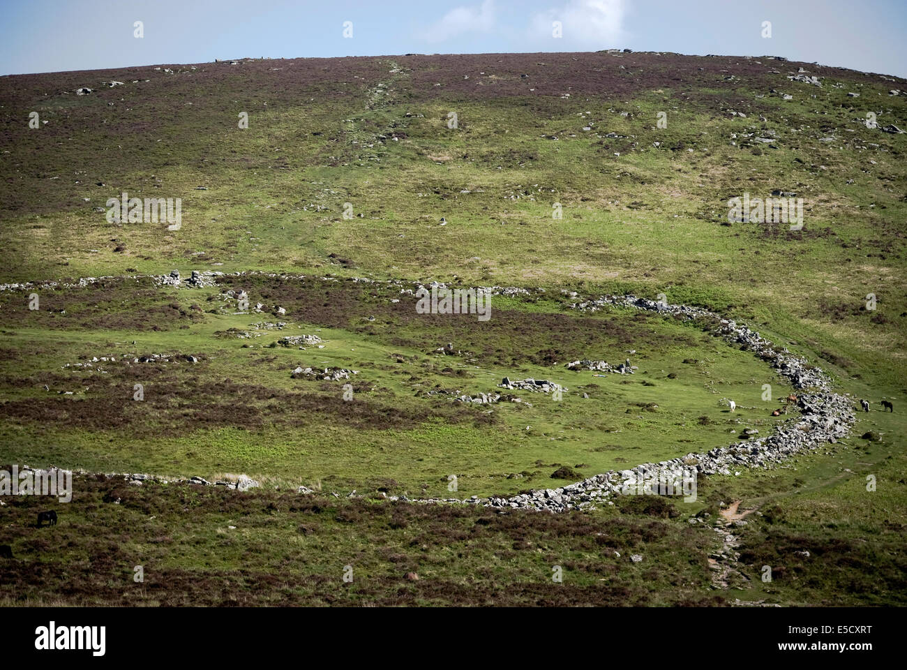 Grimspound Bronze Age stone enclosure on Dartmoor, Devon, UK Stock ...