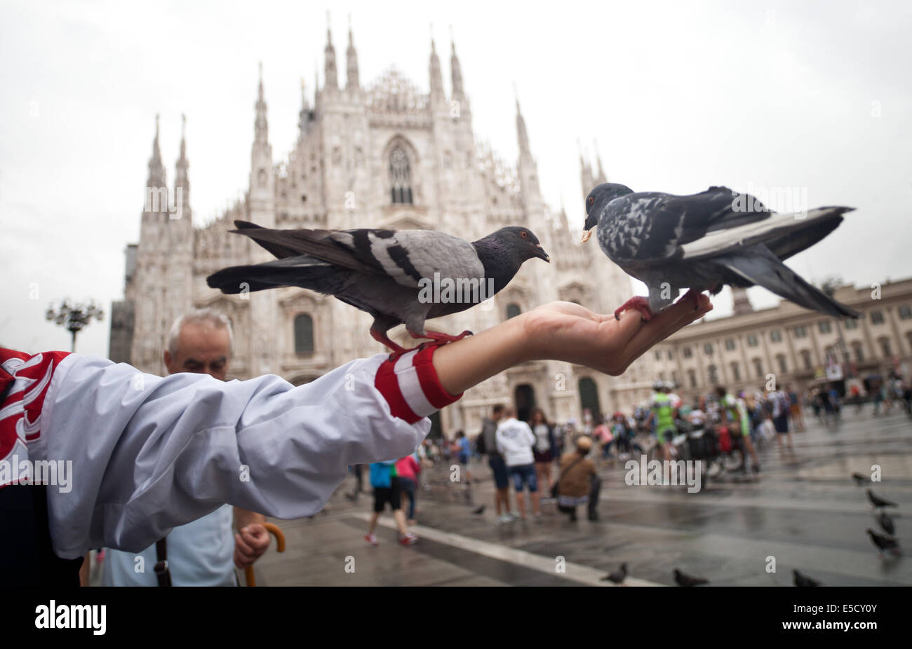 A boy feeds pigeons on the Piazza del Duomo in front of the dome in ...