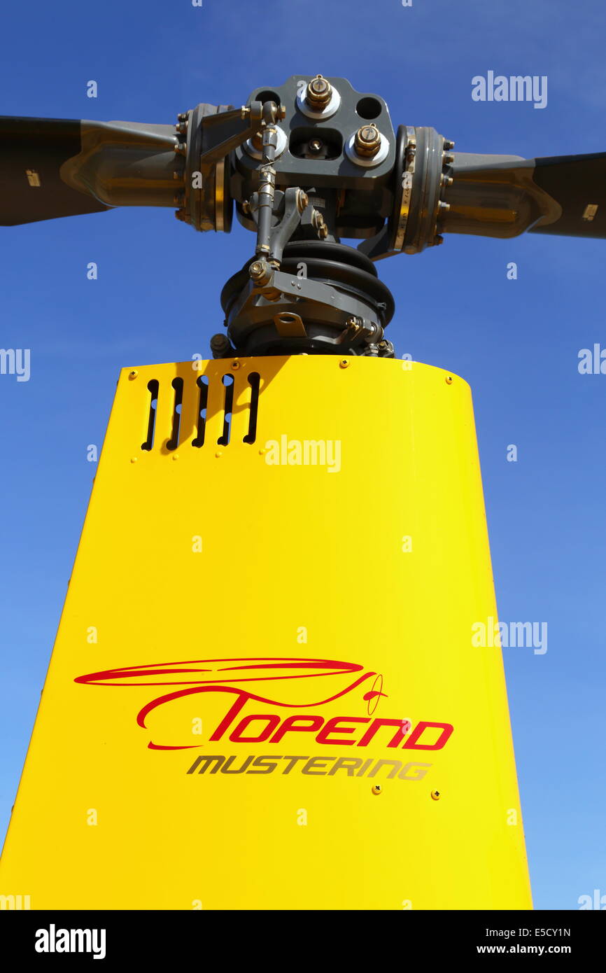 R22 helicopter rotor of a mustering helicopter in the Kimberley ...