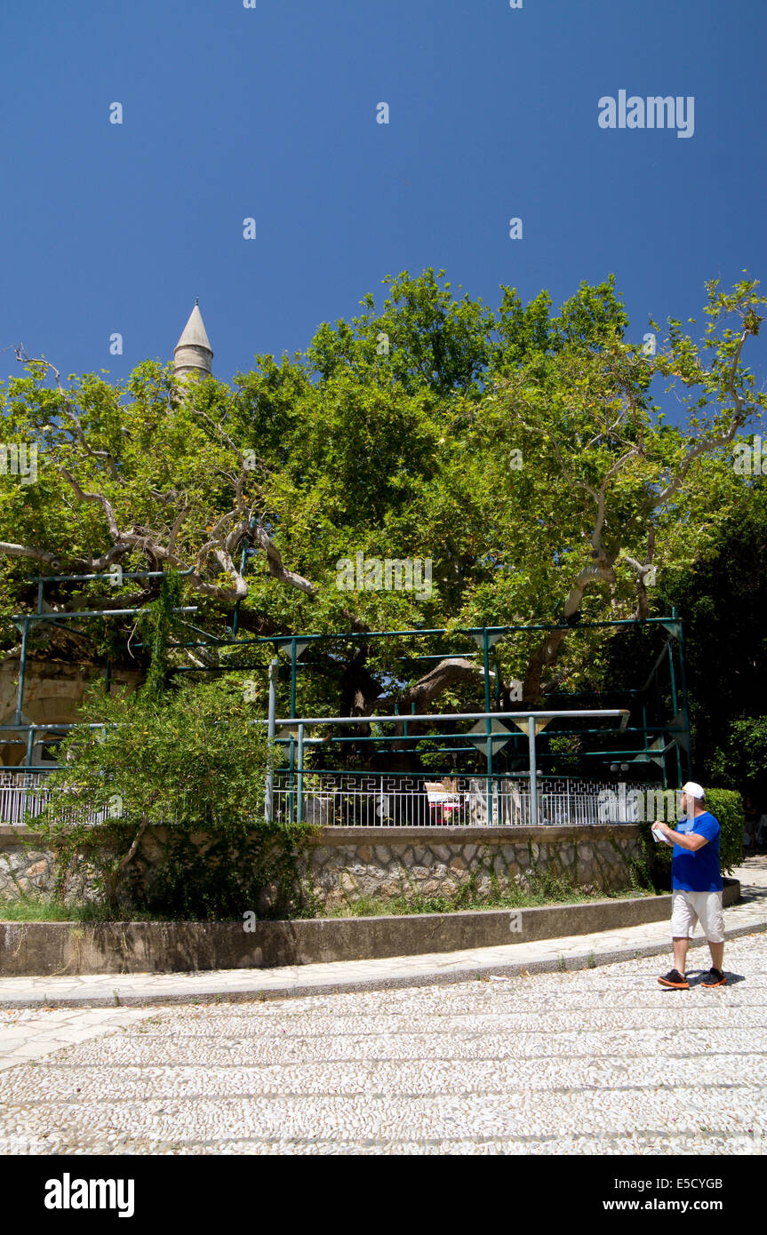 Tree of hippocrates kos hi-res stock photography and images - Alamy