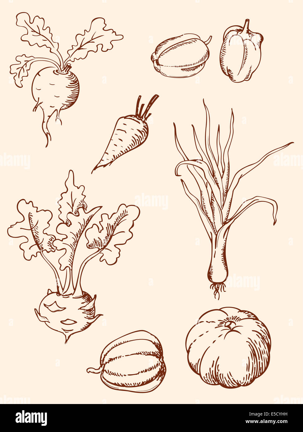 set of hand drawn vegetables in retro style Stock Photo - Alamy