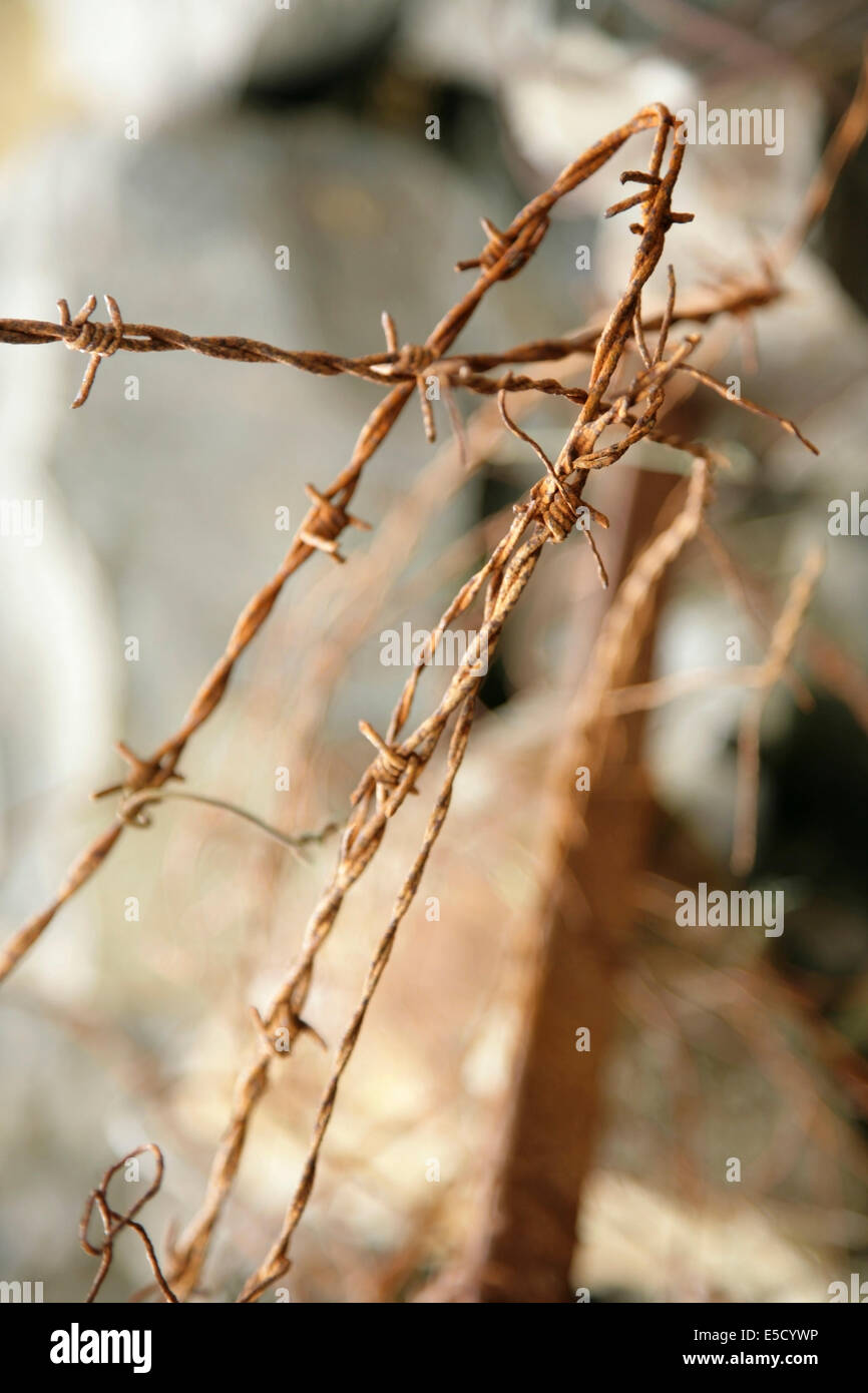Tangled barbed wire hi-res stock photography and images - Alamy
