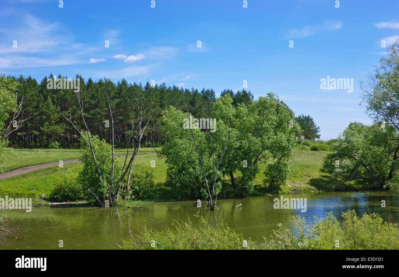 quiet lake landscape with trees on the shore Stock Photo - Alamy