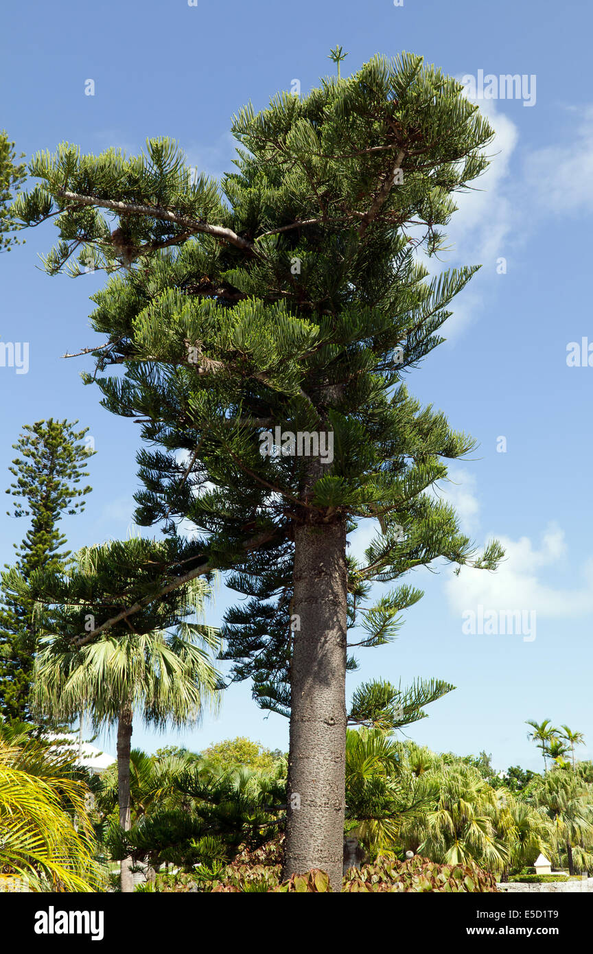 Beautiful bermuda hi-res stock photography and images - Alamy