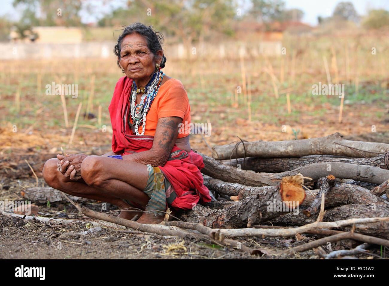 Old tribal woman sitting in the field, Baiga tribe, Karangra Village ...