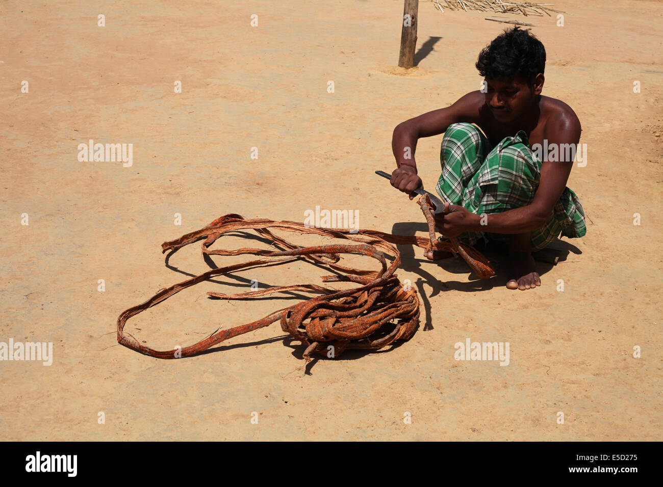 Tribal man making rope, Birhor tribe. Chueya Village, Korba District ...