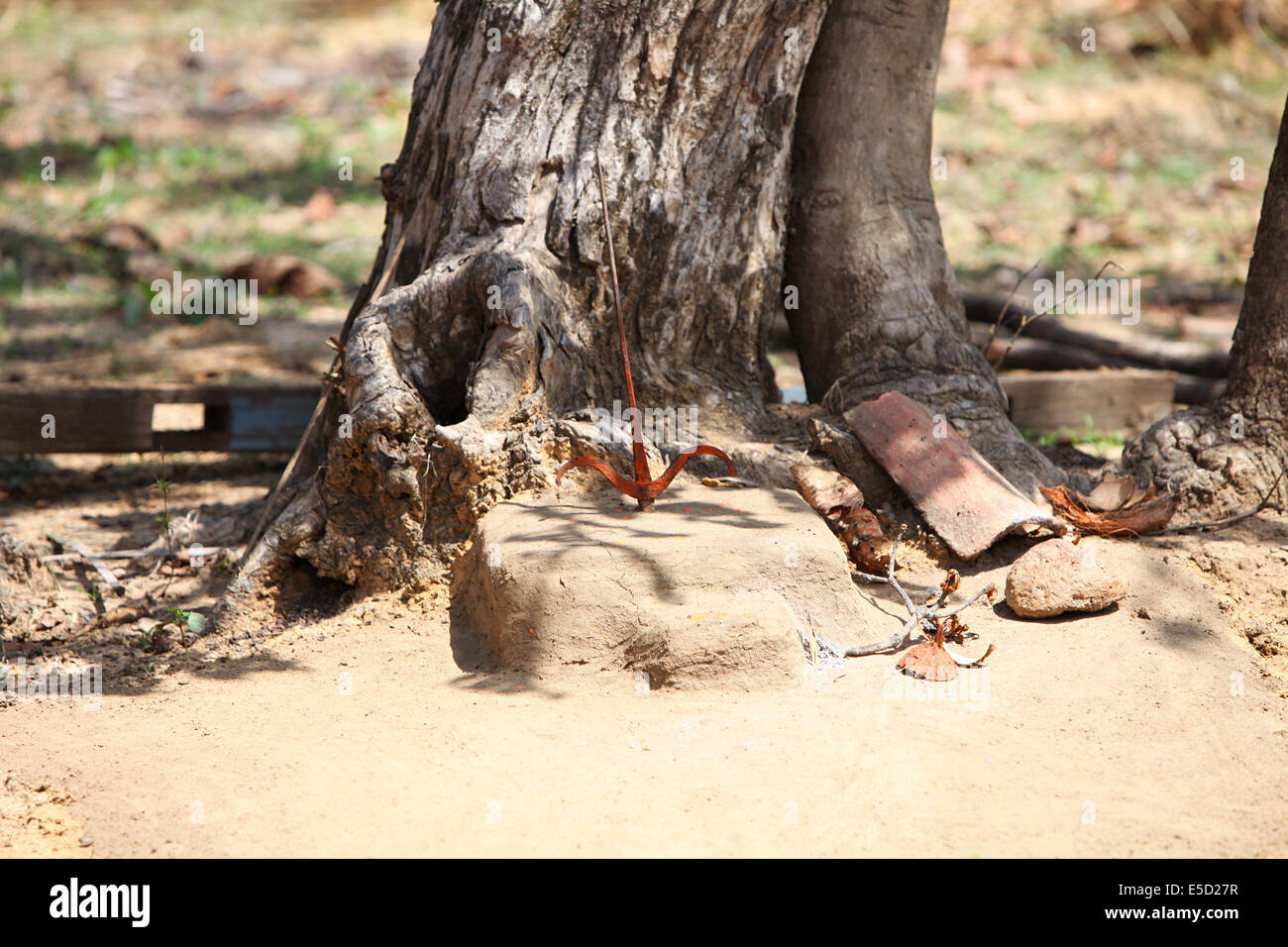 Birhor Tribe High Resolution Stock Photography and Images - Alamy
