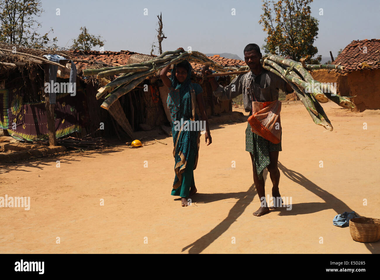 Tribal people carrying green bamboo on their head, Birhor tribe, Chueya ...