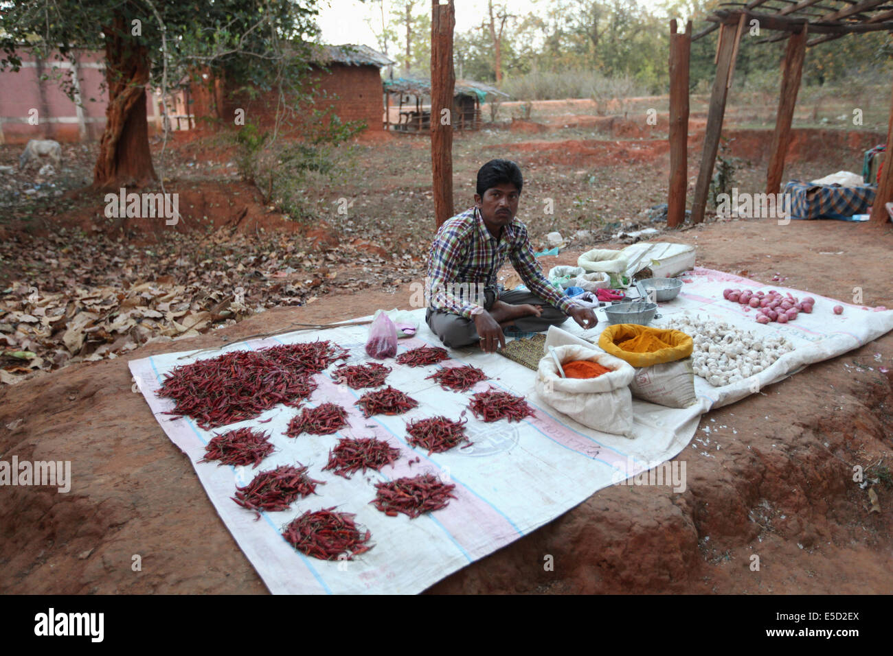 Man selling spices , tribal village, Gadhuproda Village, Chattisgadh ...