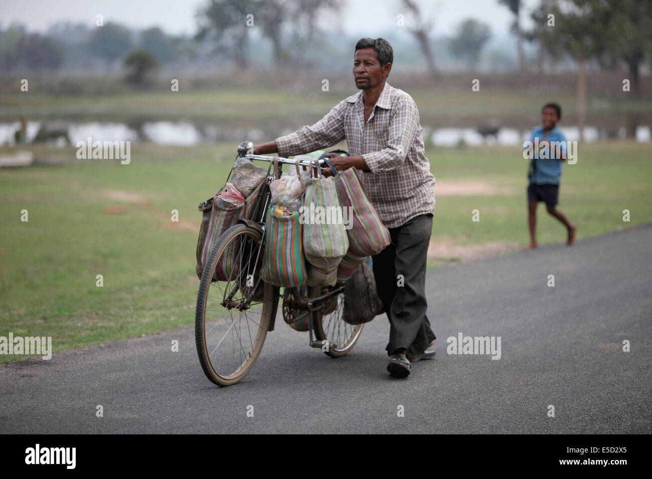 A man carrying load on bicycle, Chattisgadh, India Stock Photo - Alamy