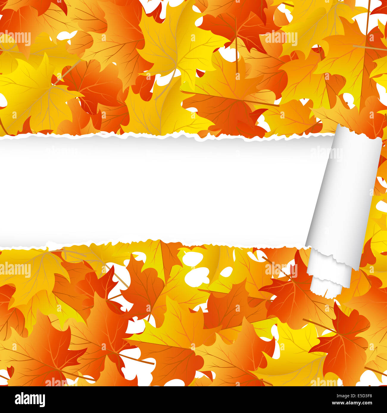 Autumn maple seamless pattern with ripped stripe. EPS 10 vector ...