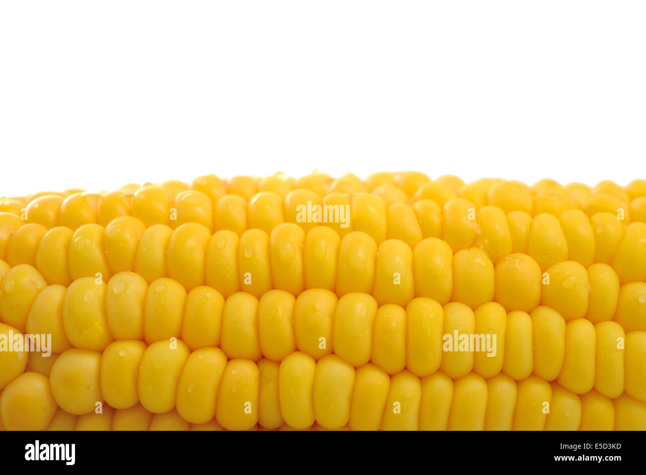 Corn on white background Stock Photo - Alamy