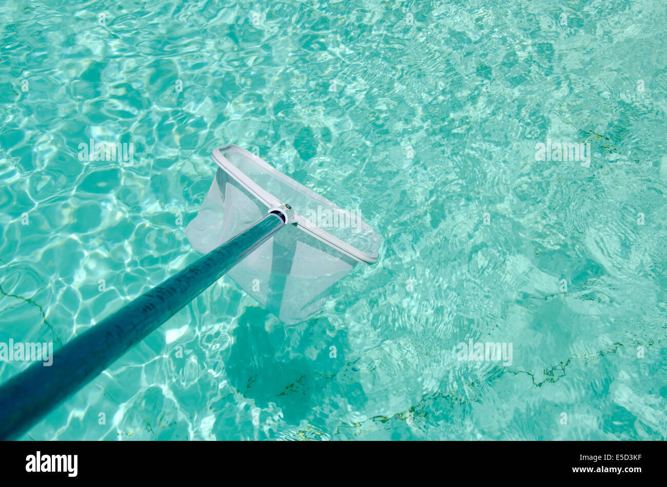 Leaf rake for swimming pool Stock Photo - Alamy