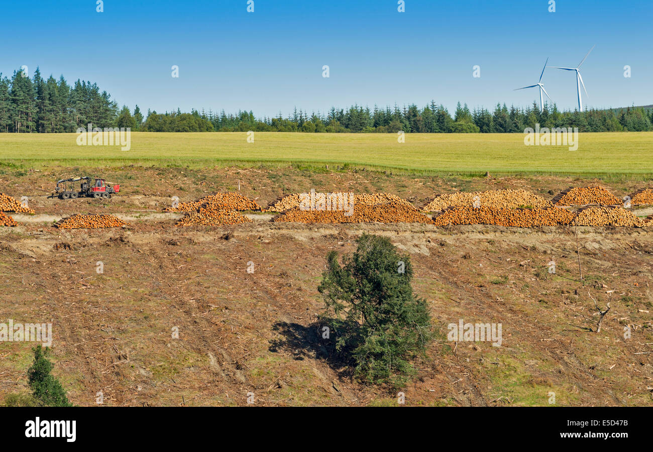 Clear felling hi-res stock photography and images - Alamy