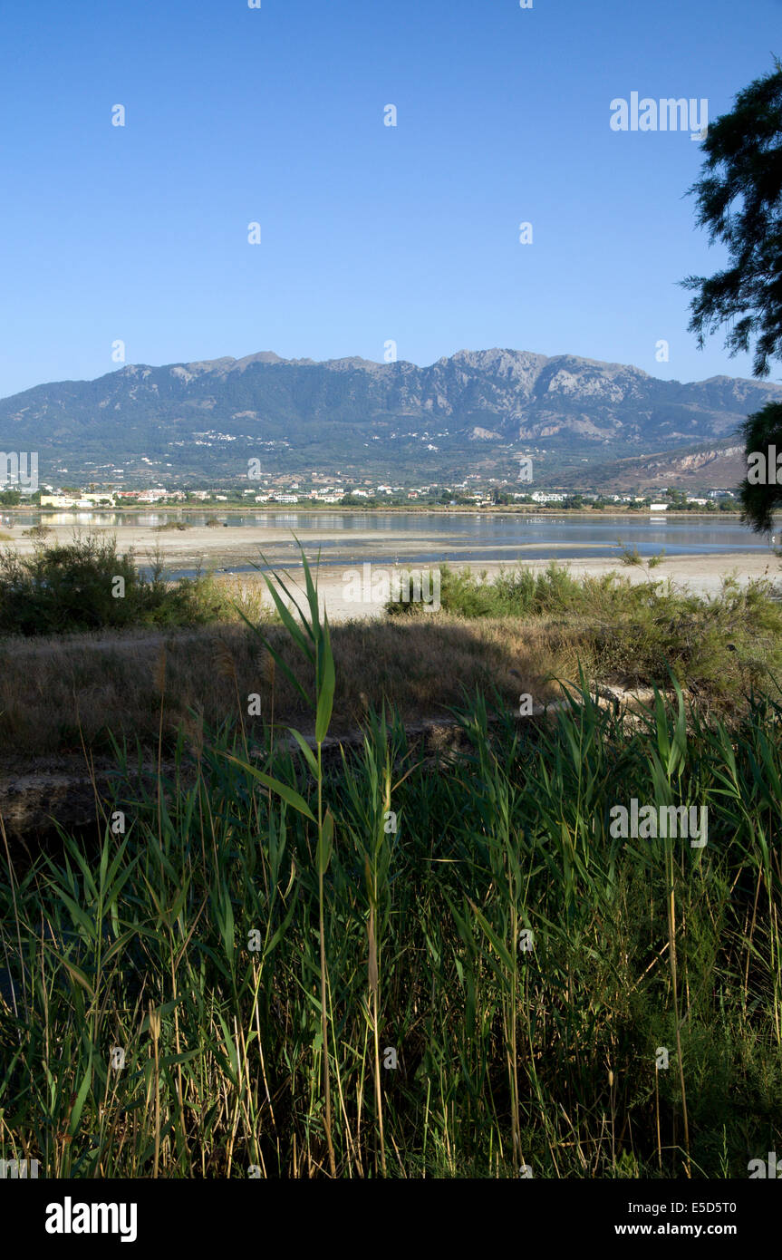 Tingaki High Resolution Stock Photography and Images - Alamy