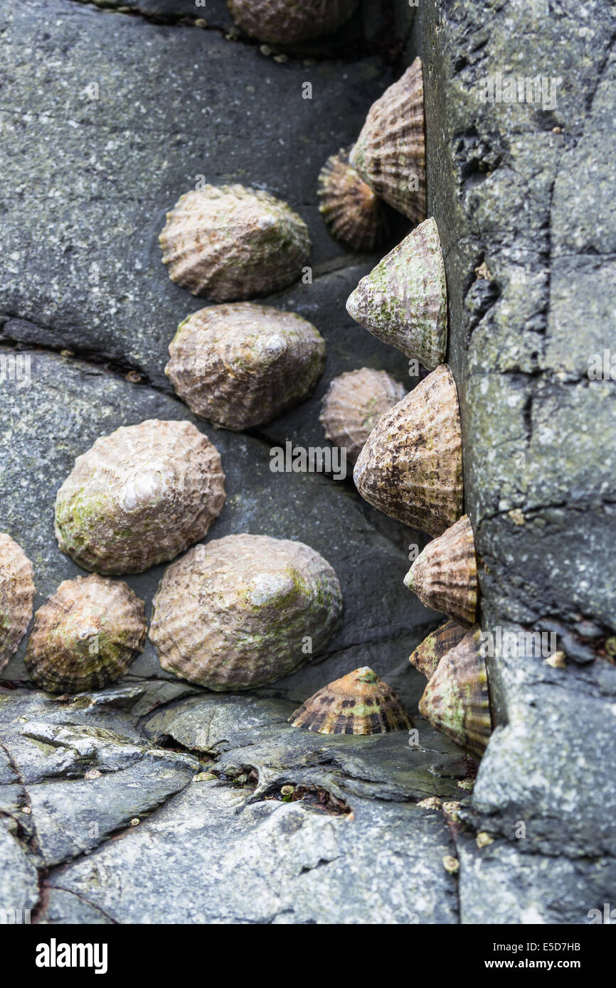 Stuck on a rock hi-res stock photography and images - Alamy