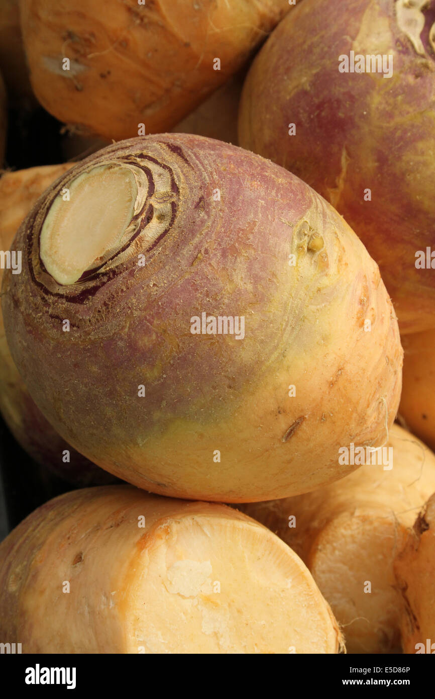 Swede vegetable hi-res stock photography and images - Alamy