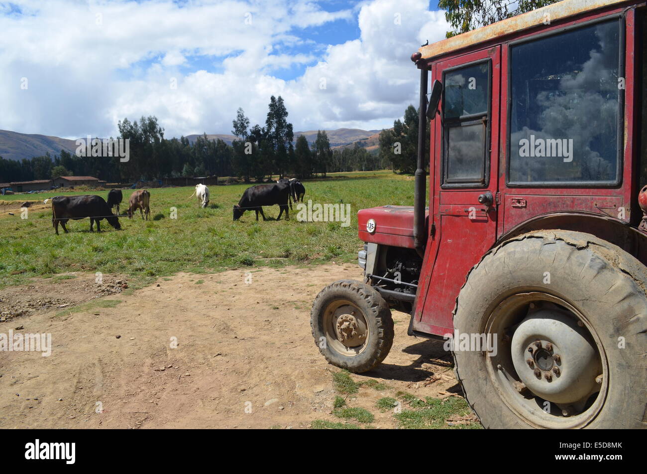 Tractor cows hi-res stock photography and images - Alamy