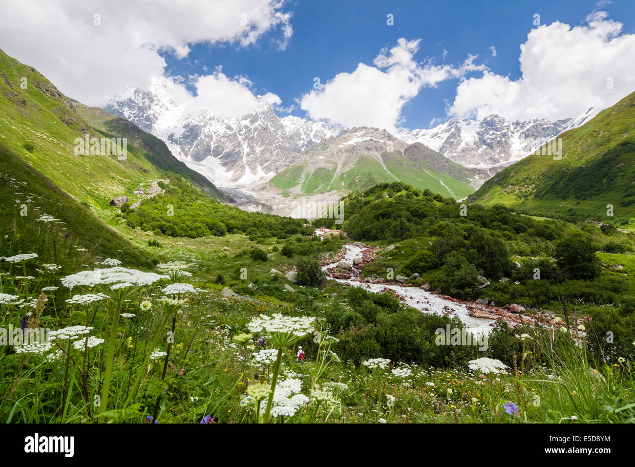 Enguri valley towards the Shkhara massif, at 5068 m the highest peak in ...