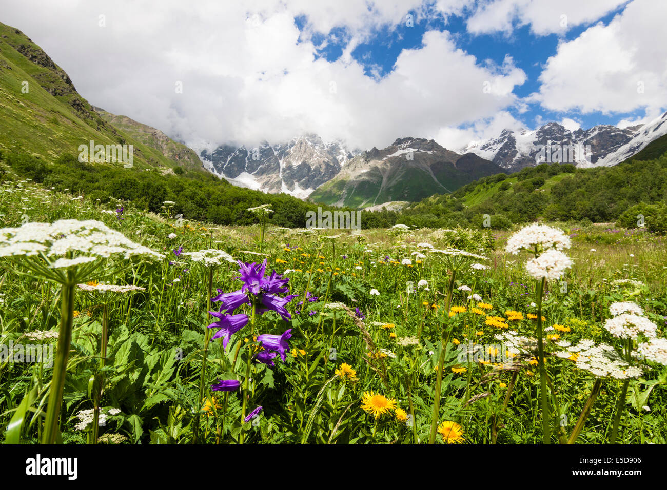 Enguri valley towards the Shkhara massif, at 5068 m the highest peak in ...