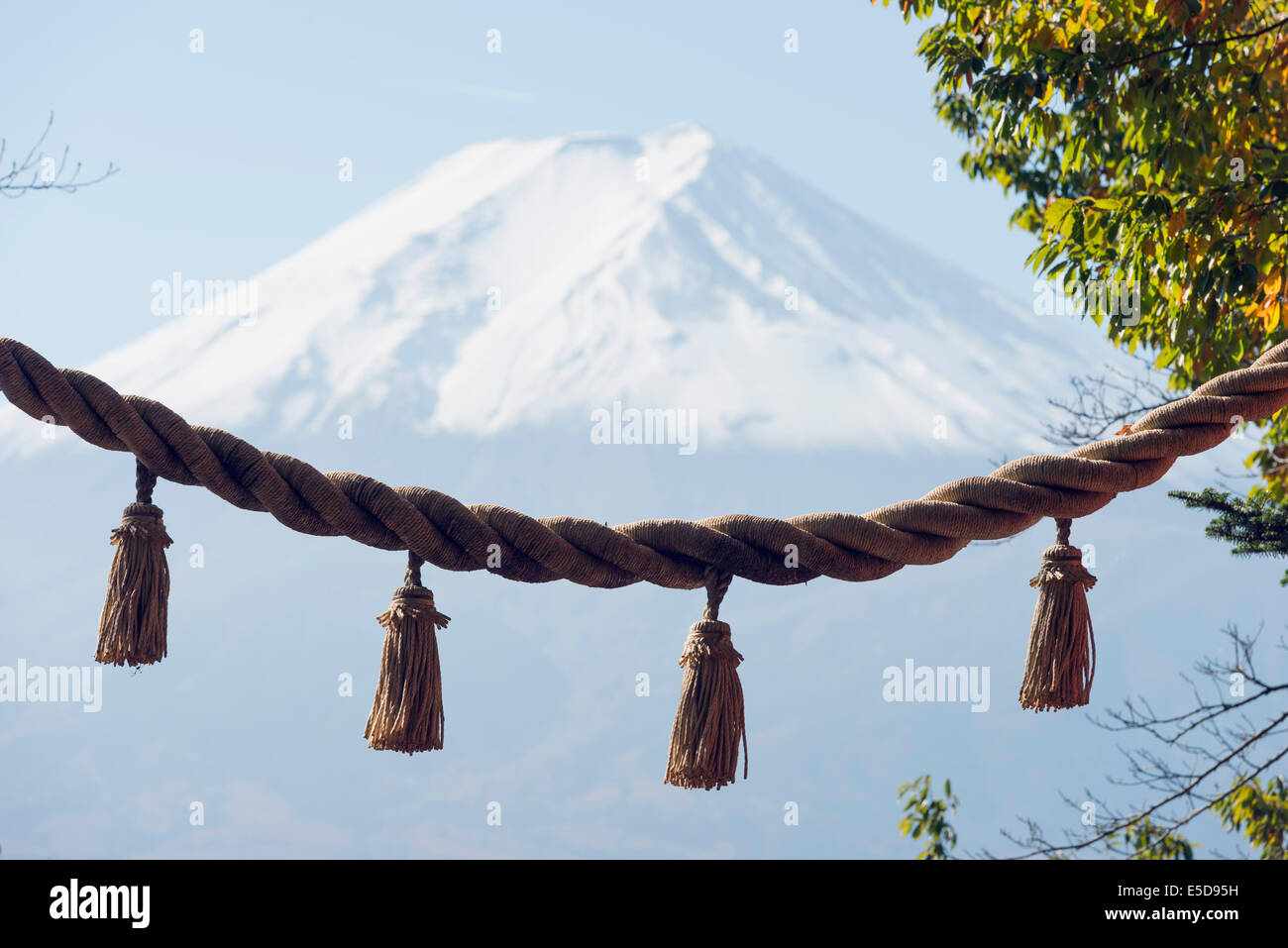 Asia; Japan Honshu Mt Fuji 3776m and Arakura Sengen Jinja Shinto shrine ...