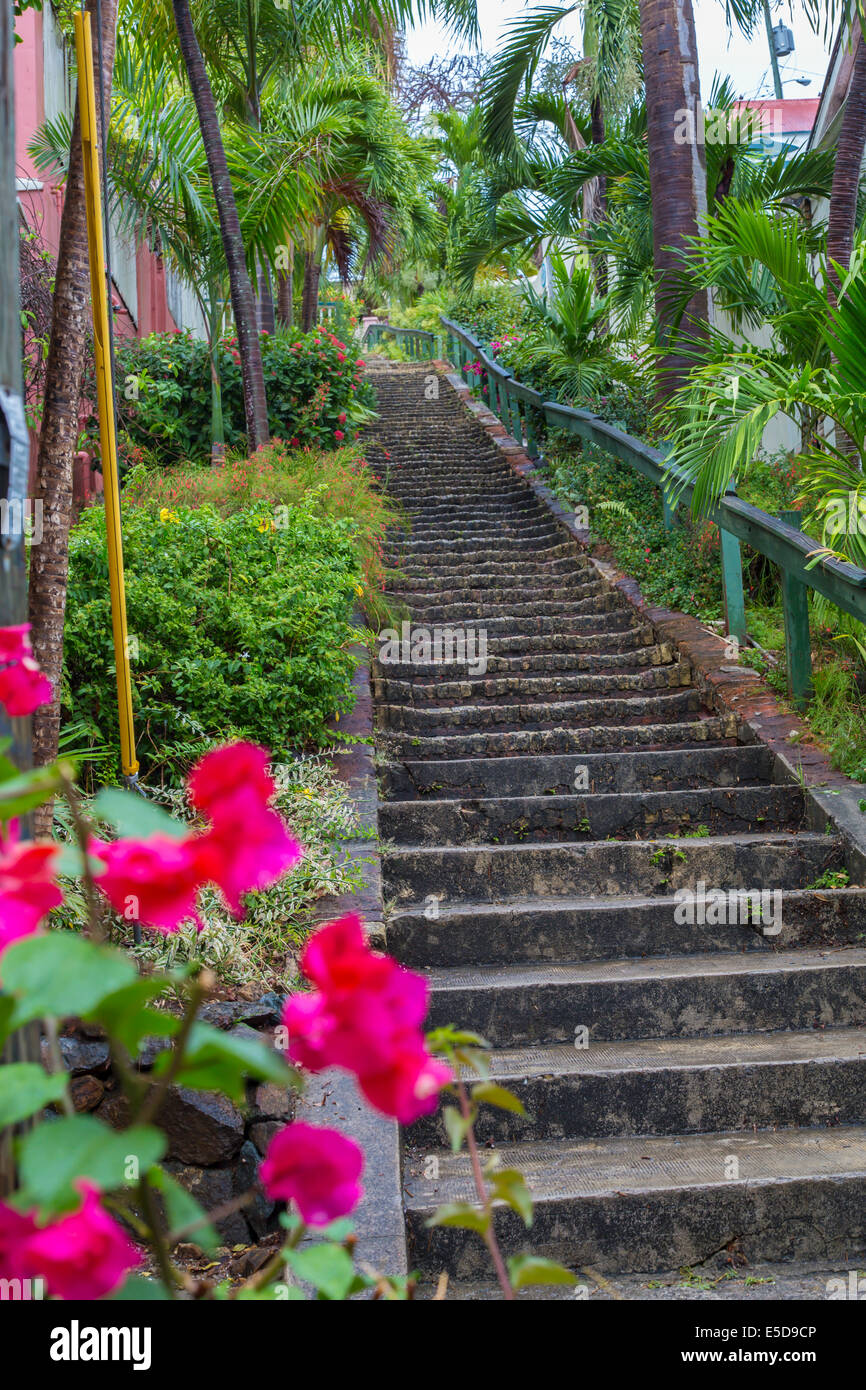 99 Steps in Charlotte Amalie on the Caribbean island of St Thomas in ...
