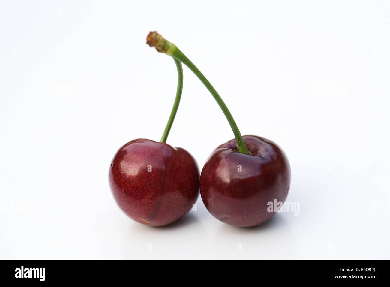 Two cherries on a white background Stock Photo - Alamy