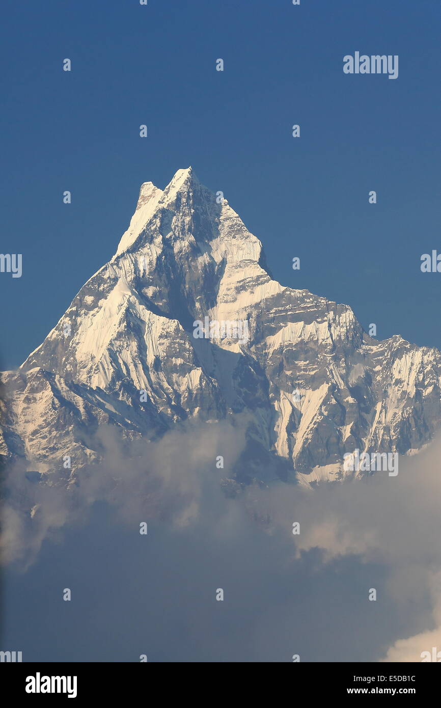 Mount Machapuchare in the Himalayas-Nepal. 0494 Stock Photo - Alamy