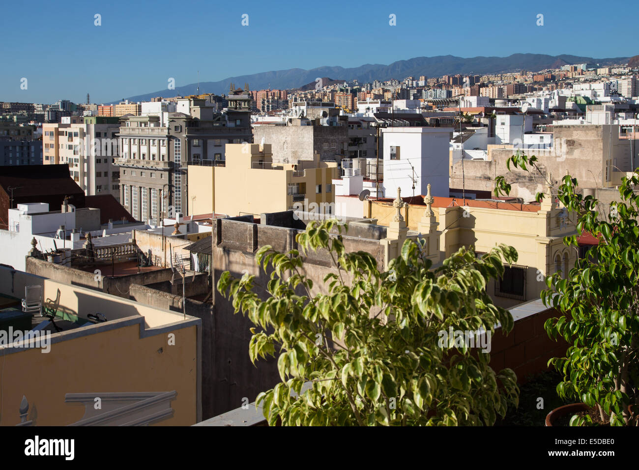 Rooftop view of Santa Cruz de Tenerife Stock Photo - Alamy