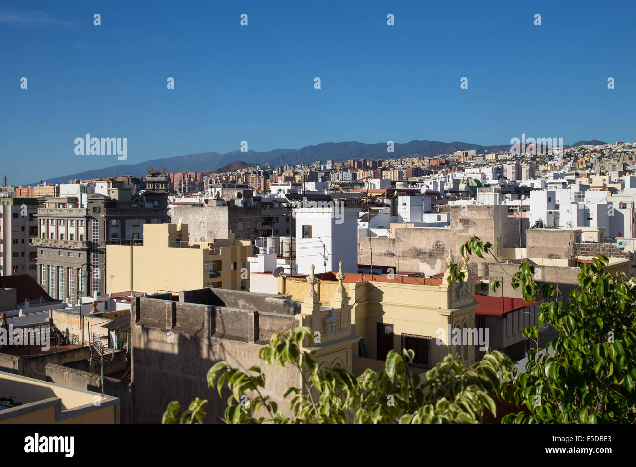 Rooftop view of Santa Cruz de Tenerife Stock Photo - Alamy