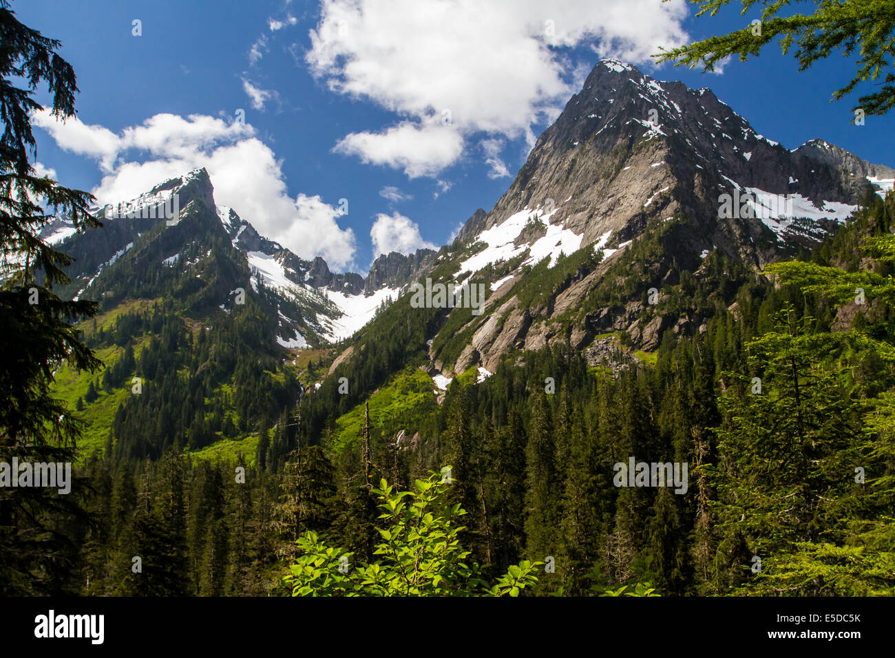Northwest angle state forest hi-res stock photography and images - Alamy