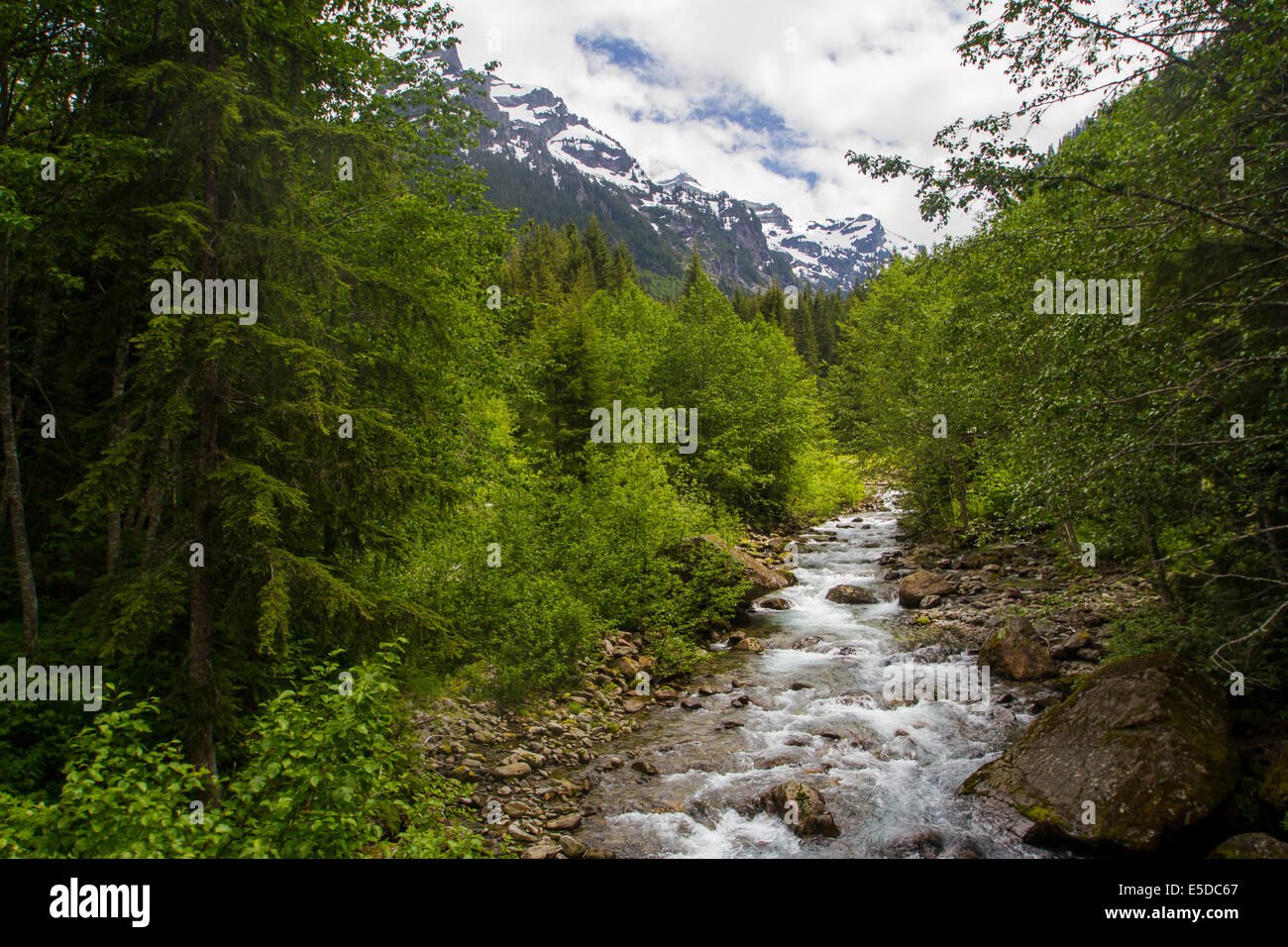 Sauk river hi-res stock photography and images - Alamy