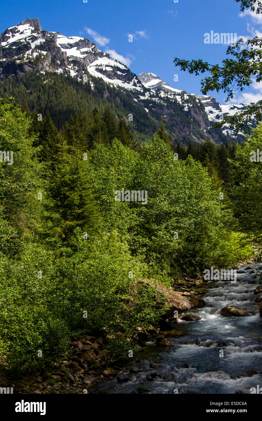Sauk river hi-res stock photography and images - Alamy