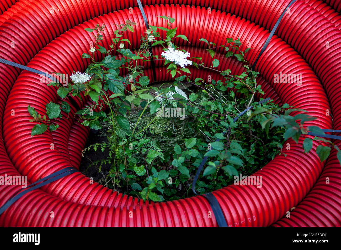 Still life of red pipes and flowers Stock Photo - Alamy