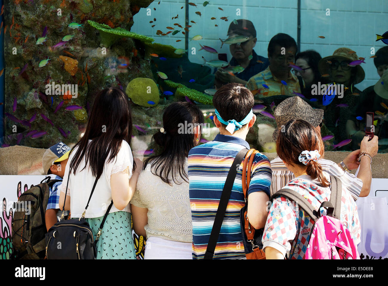 Tokyo, Japan - Pedestrians see the fishes from Okinawa inside the 14 ...