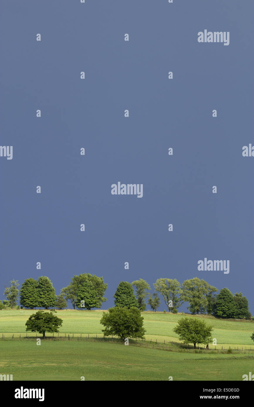 Brookview farm hi-res stock photography and images - Alamy