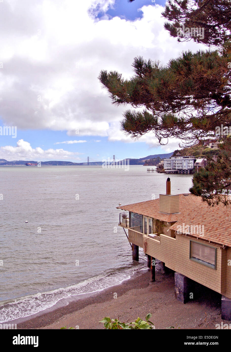 Tiburon island hi-res stock photography and images - Alamy