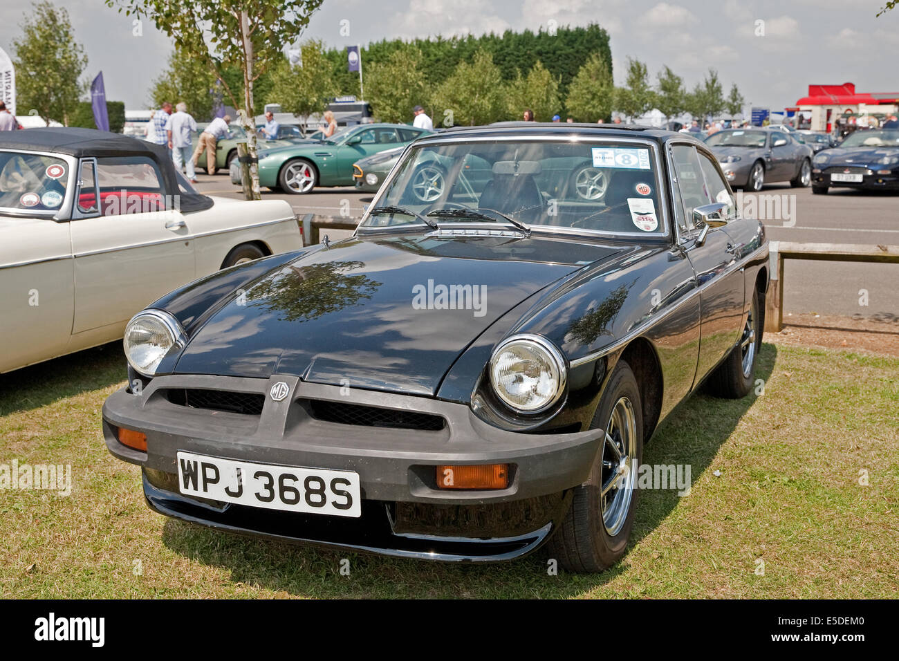 Vintage sports car club silverstone hi-res stock photography and images ...
