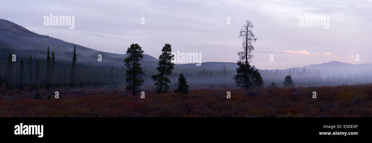 Dawn on the Alaska Highway in Yukon, Canada Stock Photo - Alamy