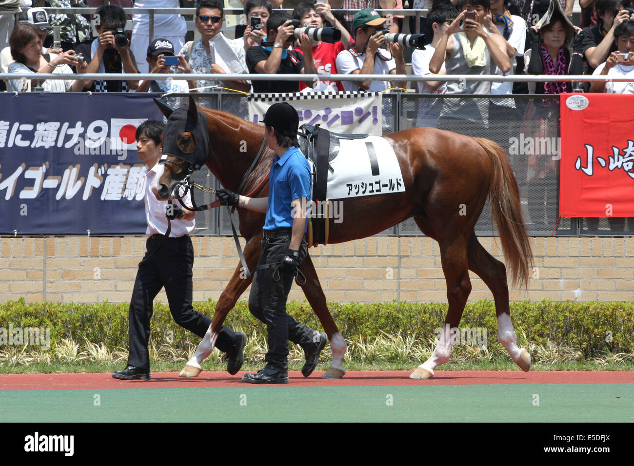 Chukyo racecourse hi-res stock photography and images - Alamy