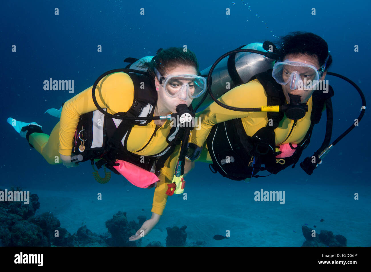 Two scuba divers in a coral reef, Palau Stock Photo - Alamy