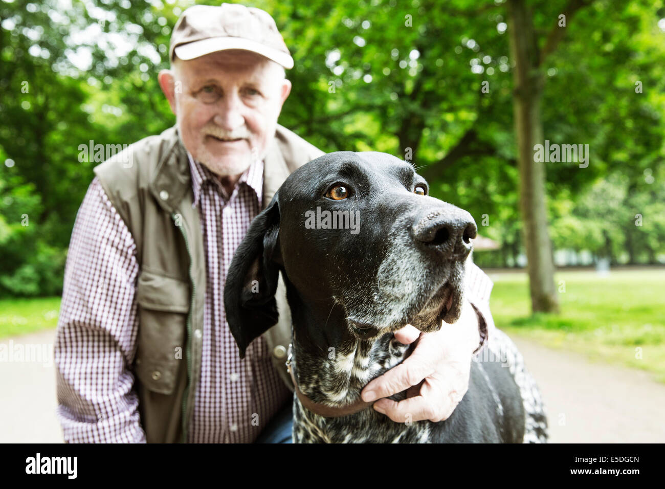 Portrait of senior man with his German Shorthaired Pointer in city park ...