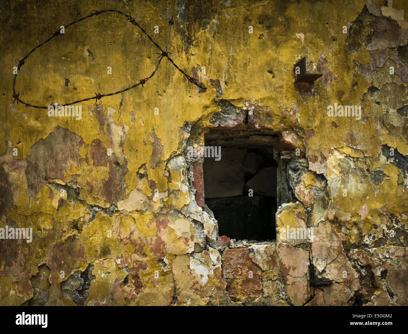 Barb wire hi-res stock photography and images - Alamy