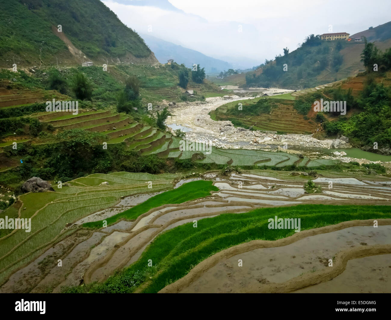 Rice terraces in Sapa, Northern Vietnam Stock Photo - Alamy