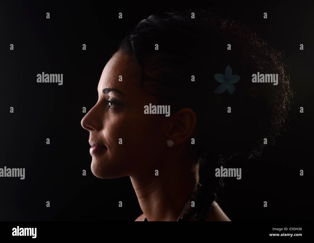 Black woman profile shadow hi-res stock photography and images - Alamy